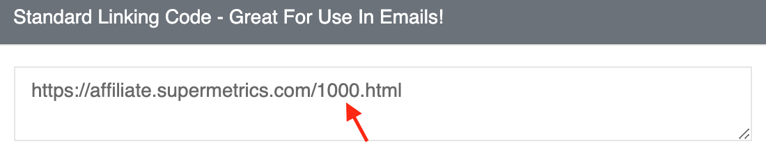 Comment promouvoir les liens d'affiliation : les meilleures pratiques ...
